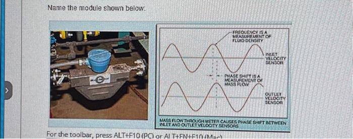 Solved Name the module shown below: | Chegg.com