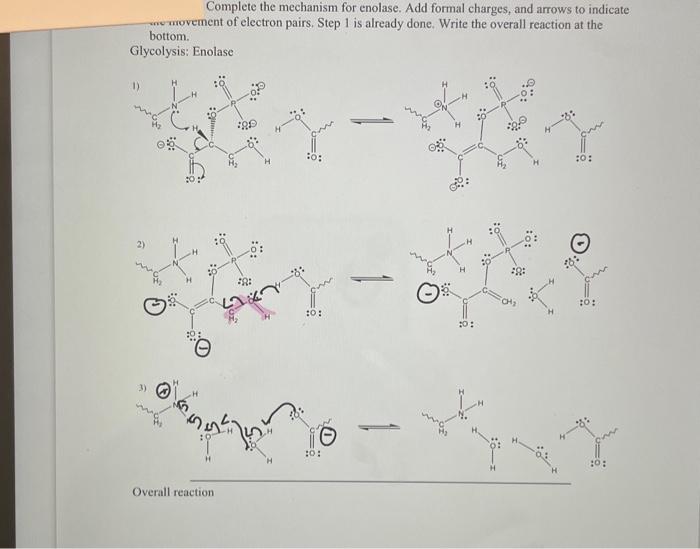 Complete the mechanism for enolase. Add formal | Chegg.com