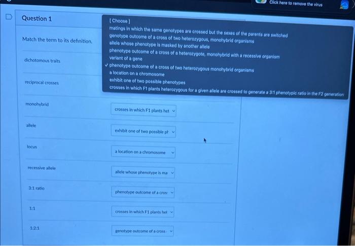 Solved Click here to remove the virus | Chegg.com