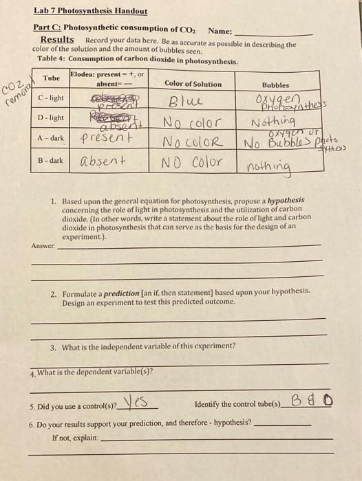 Solved CO2 Lab 7 Photosynthesis Handout Part C: | Chegg.com