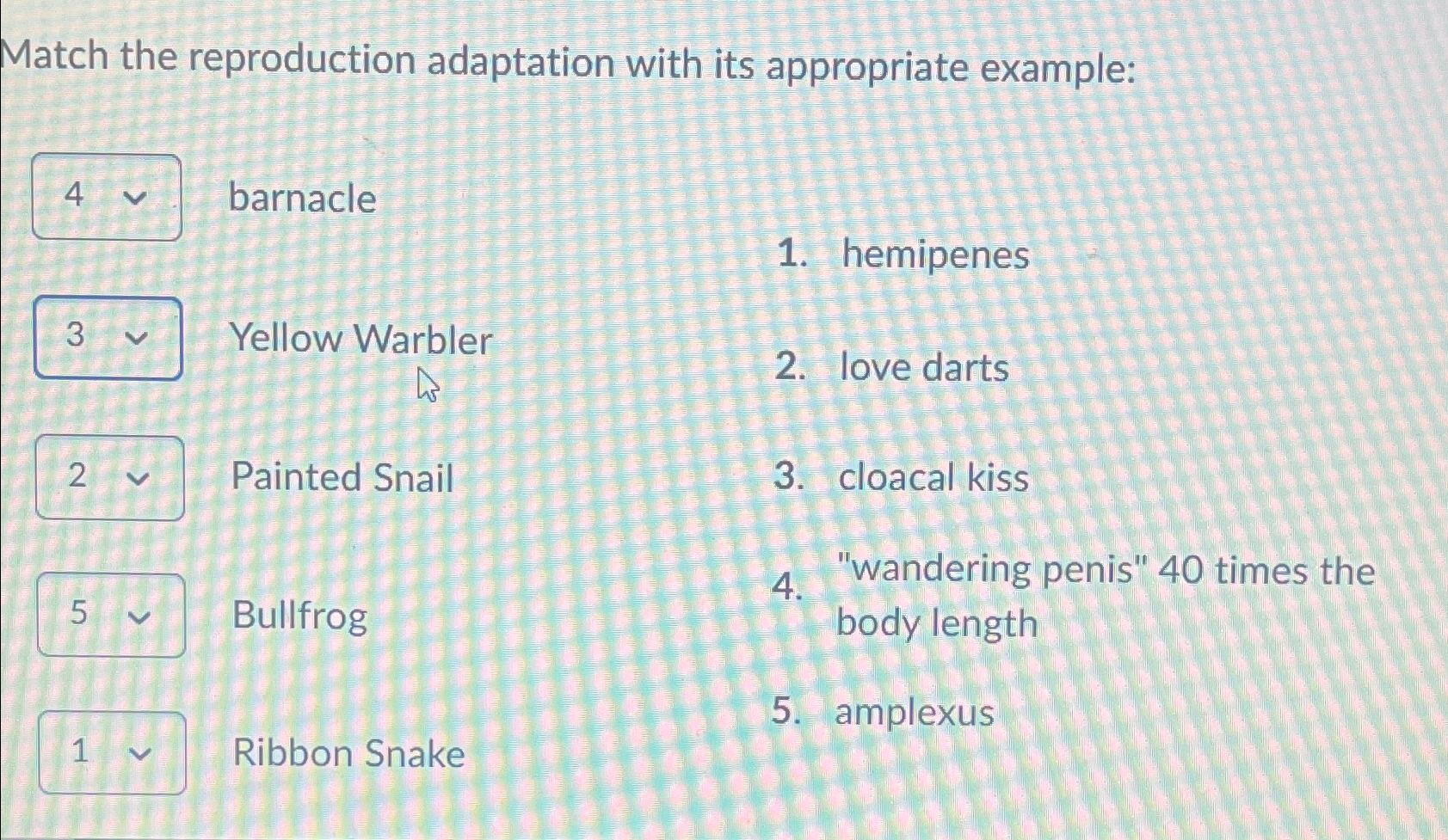 Solved Match the reproduction adaptation with its | Chegg.com