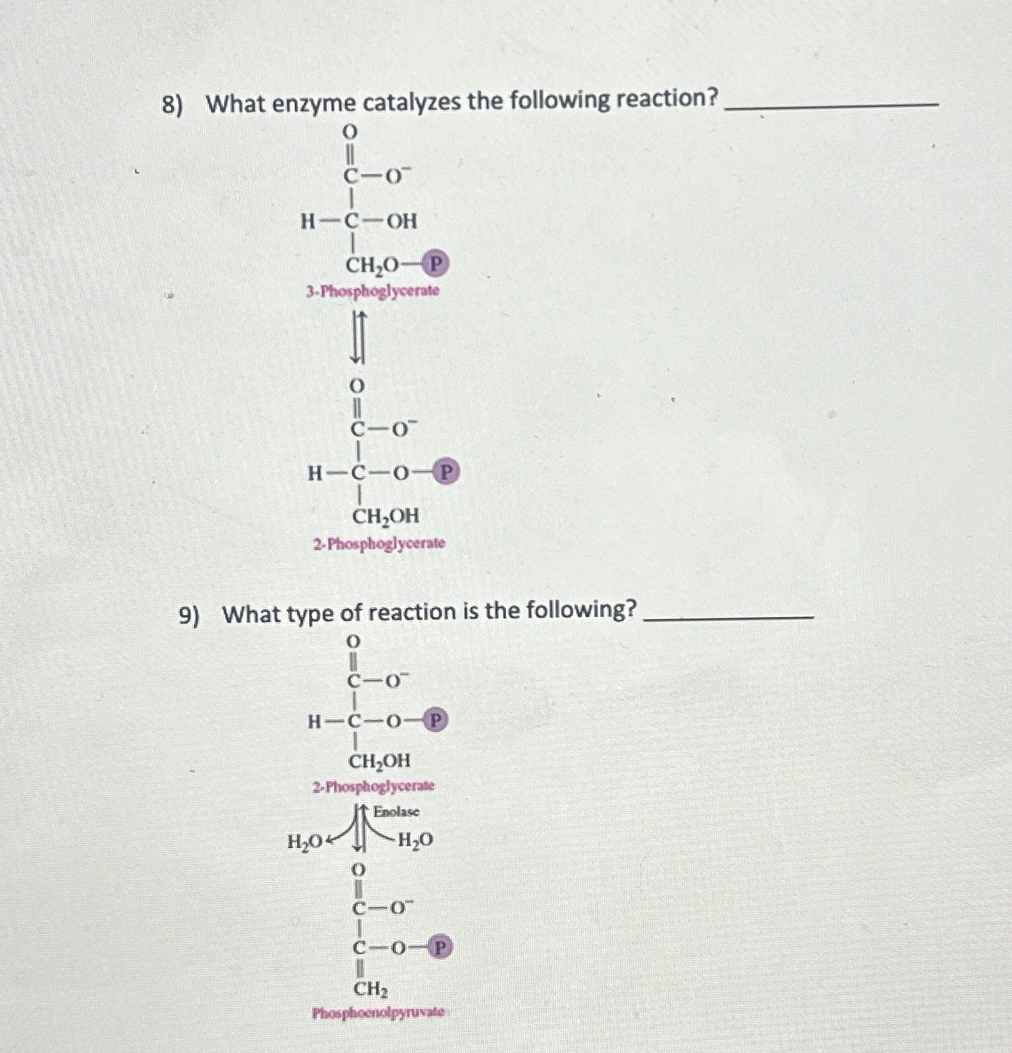 Solved What enzyme catalyzes the following | Chegg.com
