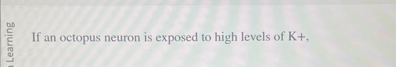 Solved If an octopus neuron is exposed to high levels of K+, | Chegg.com
