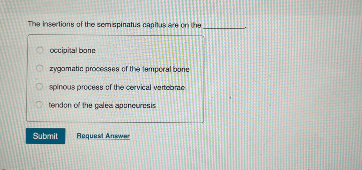 The insertions of the semispinatus capitus are on | Chegg.com