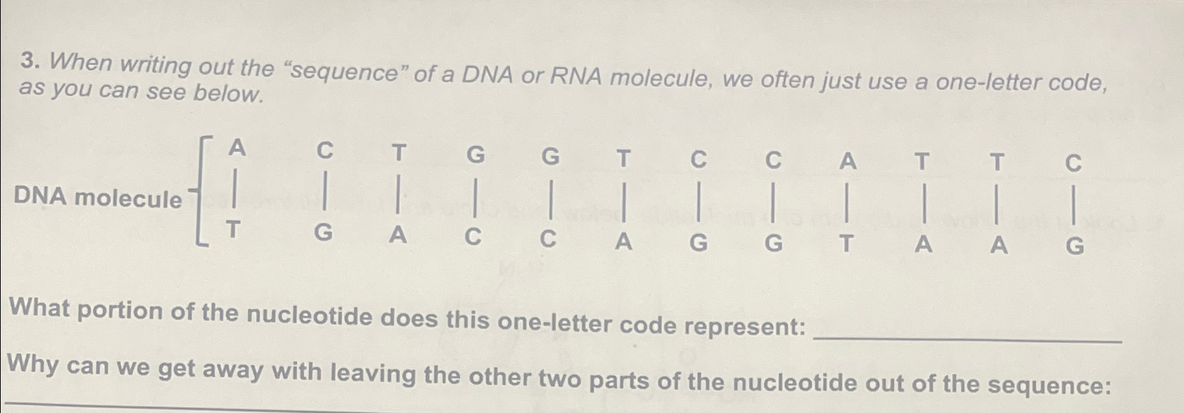 Solved When writing out the "sequence" of a DNA or RNA | Chegg.com