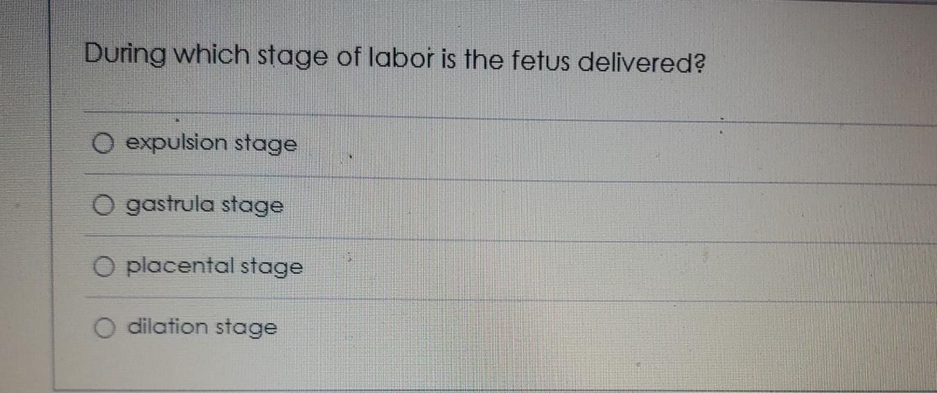 Solved During which stage of labor is the fetus delivered? O | Chegg.com