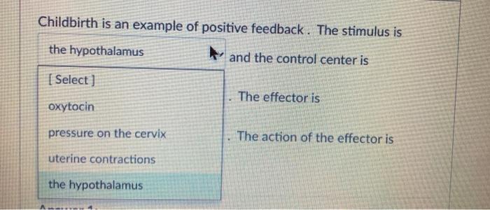 Solved Childbirth is an example of positive feedback. The | Chegg.com