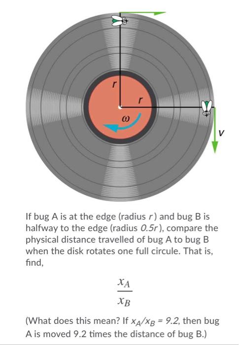 Solved You have two bugs sitting on a rotating disk similar | Chegg.com