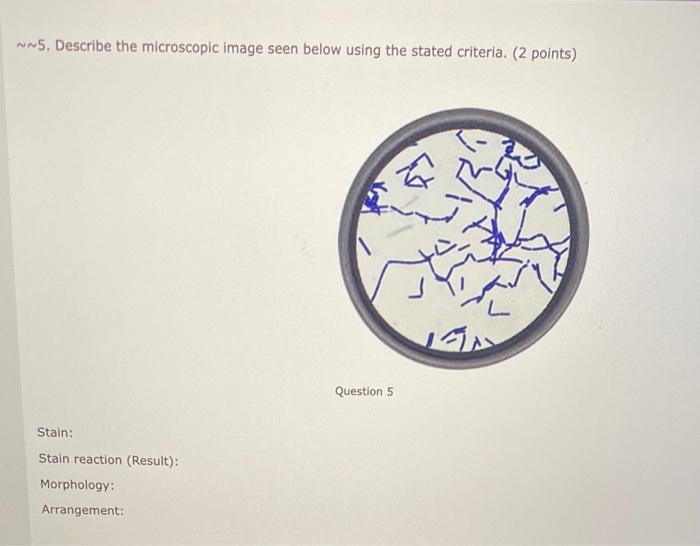 Solved 〜 5. Describe the microscopic image seen below using | Chegg.com
