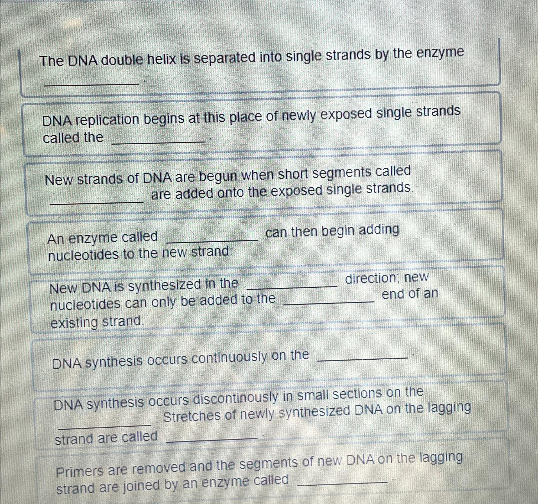 Solved The DNA double helix is separated into single strands | Chegg.com