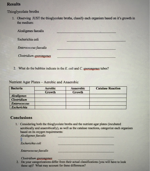 Solved Results Thioglycolate broths 1. Observing JUST the | Chegg.com