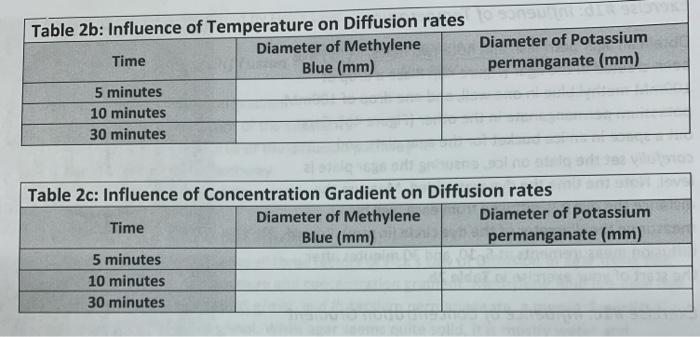 Table 2a: Influence of Molecular Weight on Diffusion | Chegg.com