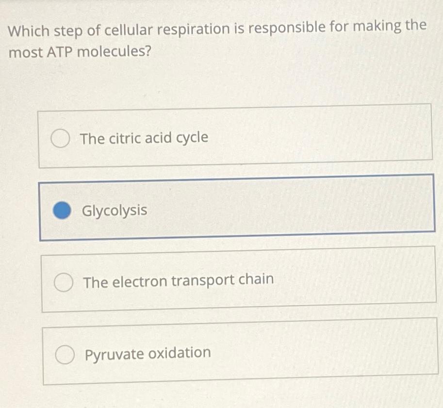 Solved Which step of cellular respiration is responsible for | Chegg.com