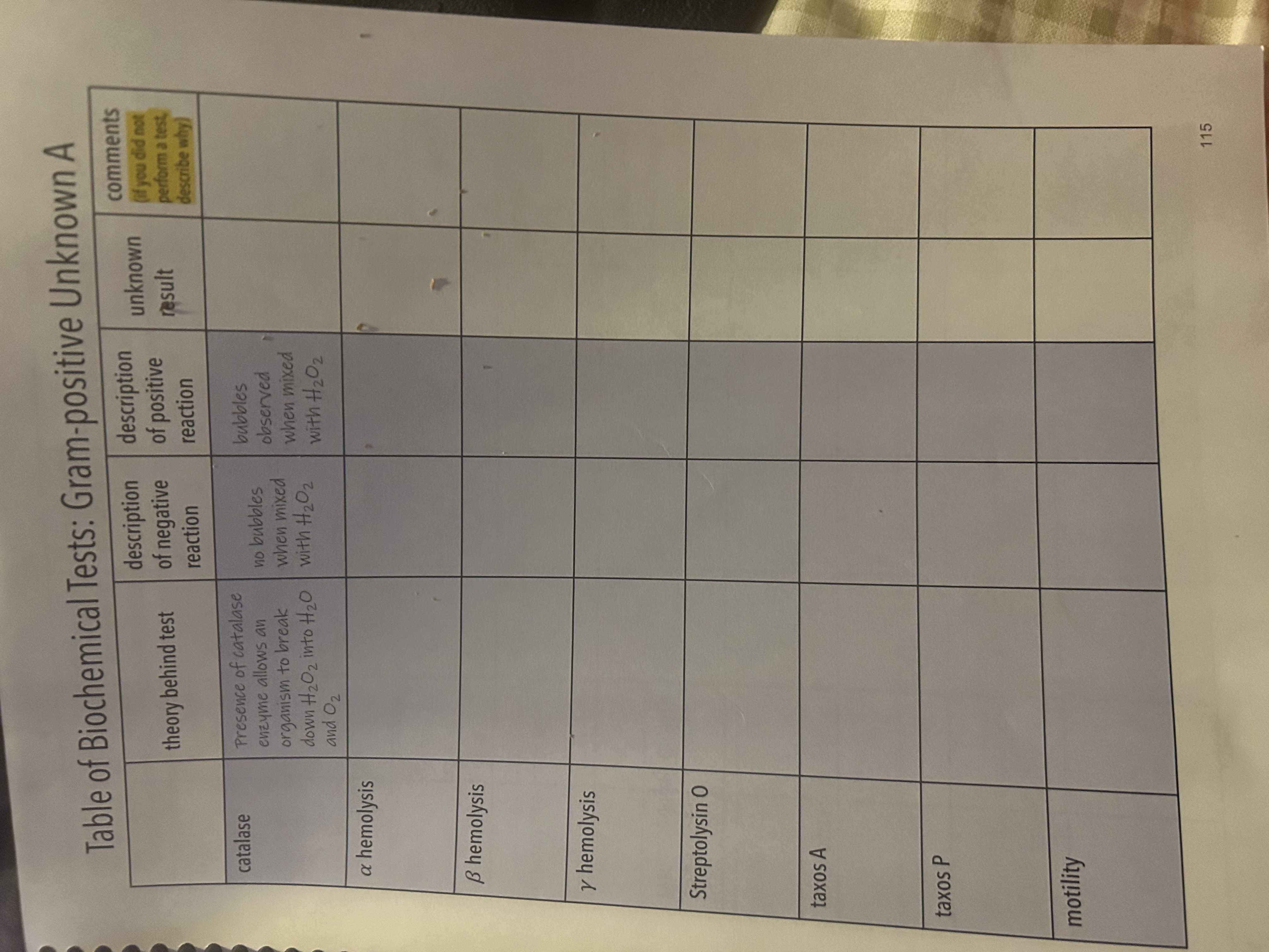 Solved Table of Biochemical Tests: Gram-positive Unknown AF | Chegg.com