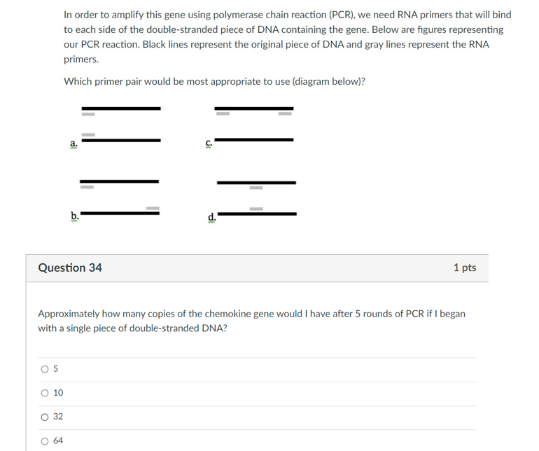 Solved In order to amplify this gene using polymerase chain | Chegg.com