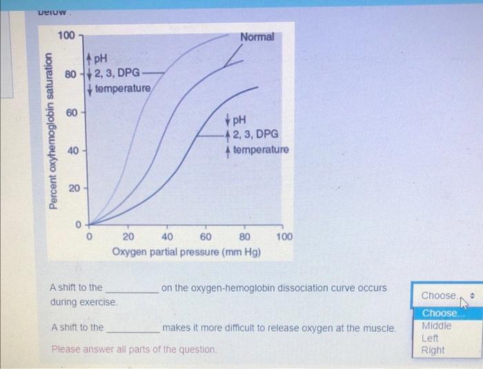 Solved A shift to the on the oxygen-hemoglobin dissociation | Chegg.com