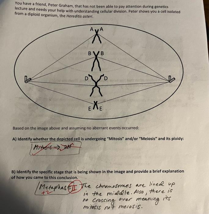 Solved pleae help on a + b + c provide answer and an | Chegg.com