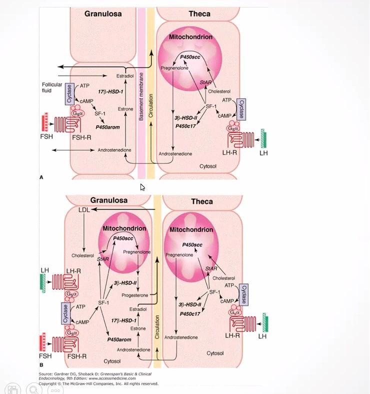 Solved 1. Explain the picture in full and in detail about | Chegg.com