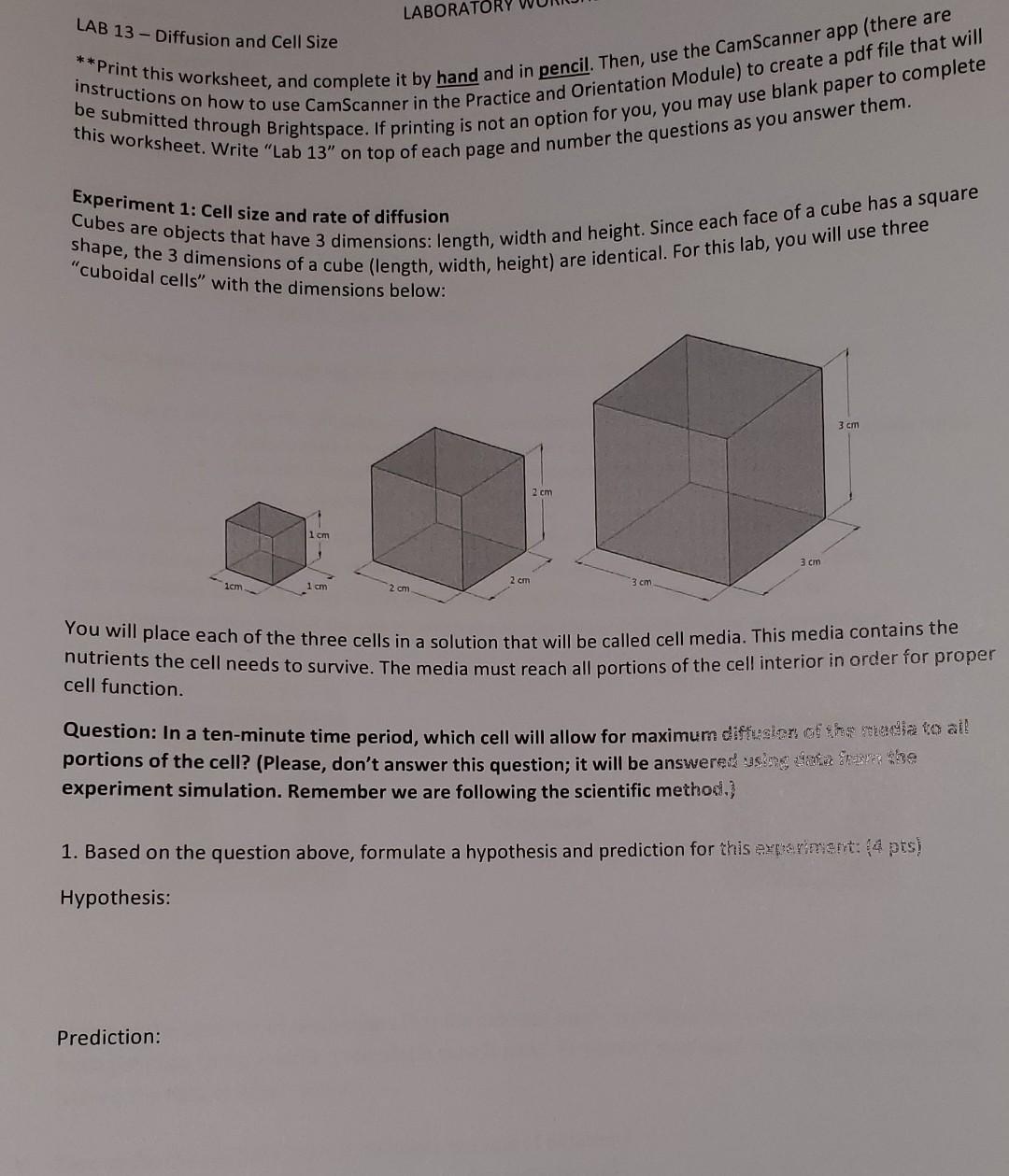 Solved ∗∗ Print this worksheet, and complete it by hand and | Chegg.com