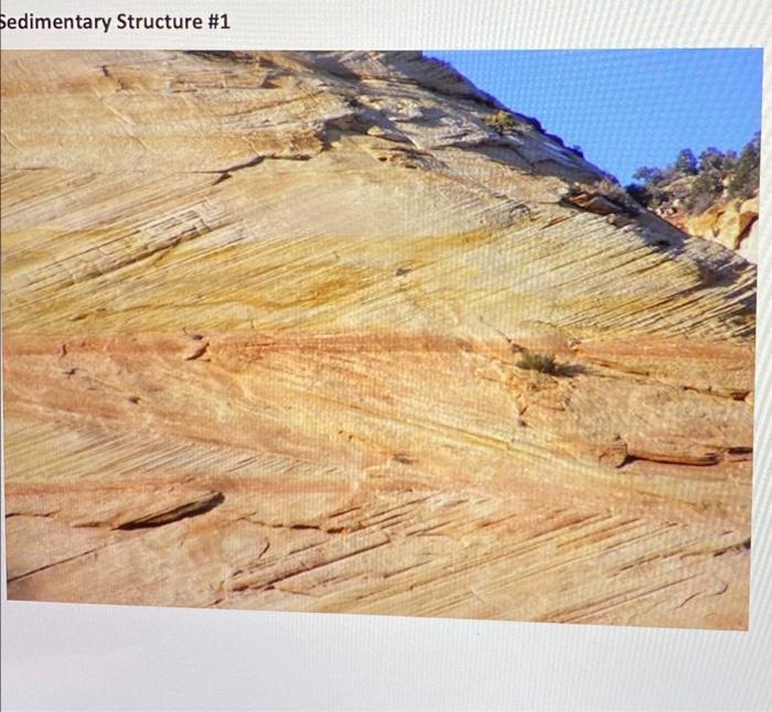 Solved Sedimentary Structure \#1 Sedimentary Structure | Chegg.com