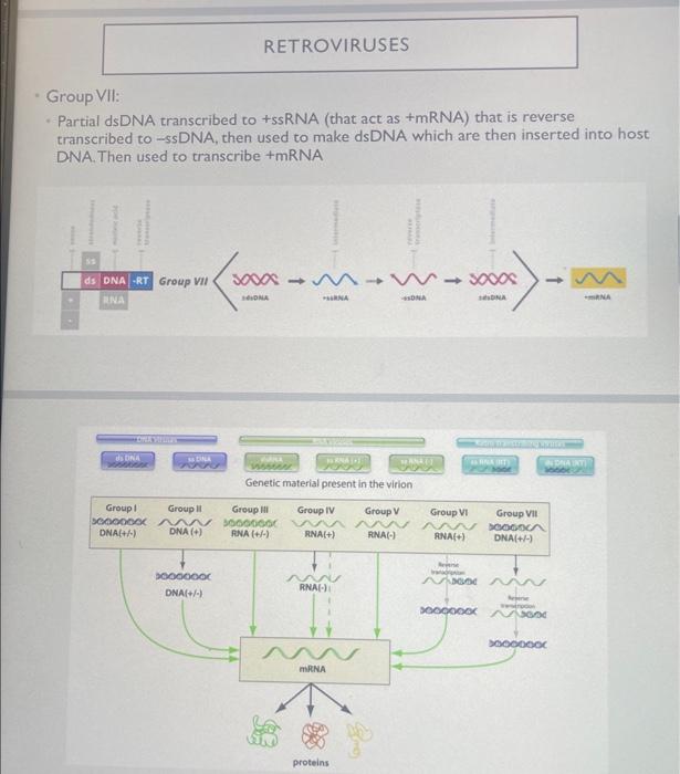 Group Iii Double Stranded Rna Dsrna Mrna Is