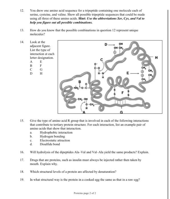 Solved 4. Draw the zwitterion structure for each of the | Chegg.com