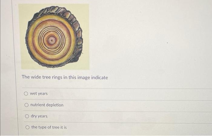 Solved What is dendrochronology? The dating of trees based | Chegg.com