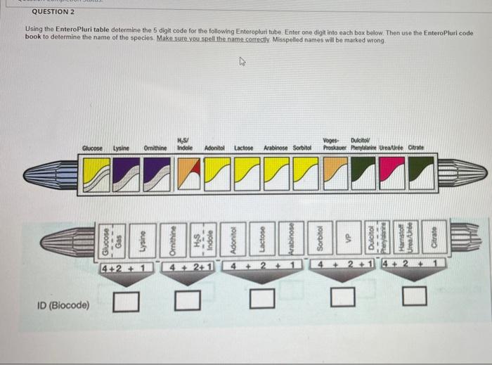 Solved QUESTION 2 Using the Entero Pluri table determine the | Chegg.com