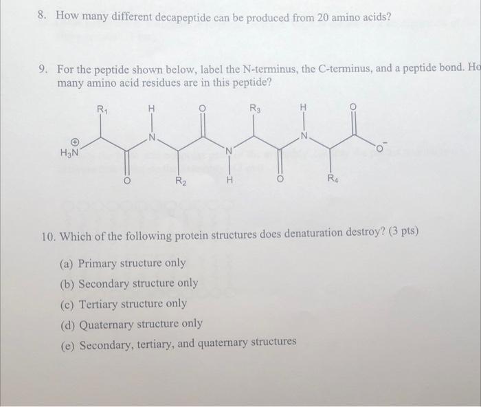 Solved 8. How many different decapeptide can be produced | Chegg.com