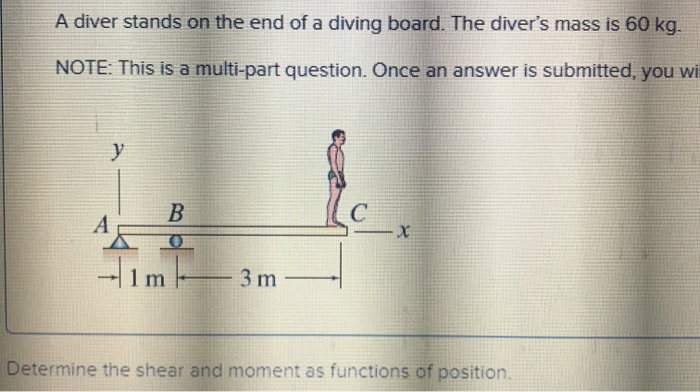 Solved A diver stands on the end of a diving board. The | Chegg.com