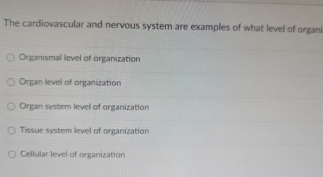 Solved The cardiovascular and nervous system are examples of | Chegg.com