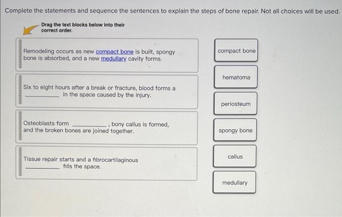 Solved Place the images in order to reflect the correct | Chegg.com