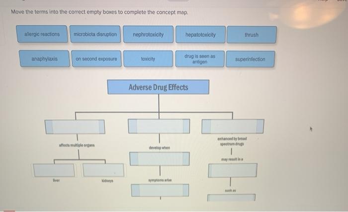 Solved Move the terms into the correct empty boxes to | Chegg.com