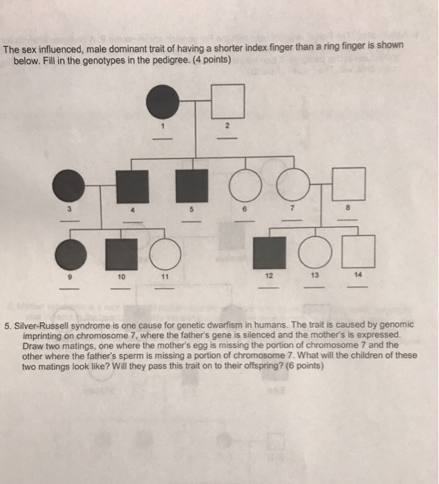 Solved The sex influenced, male dominant trait of having a | Chegg.com