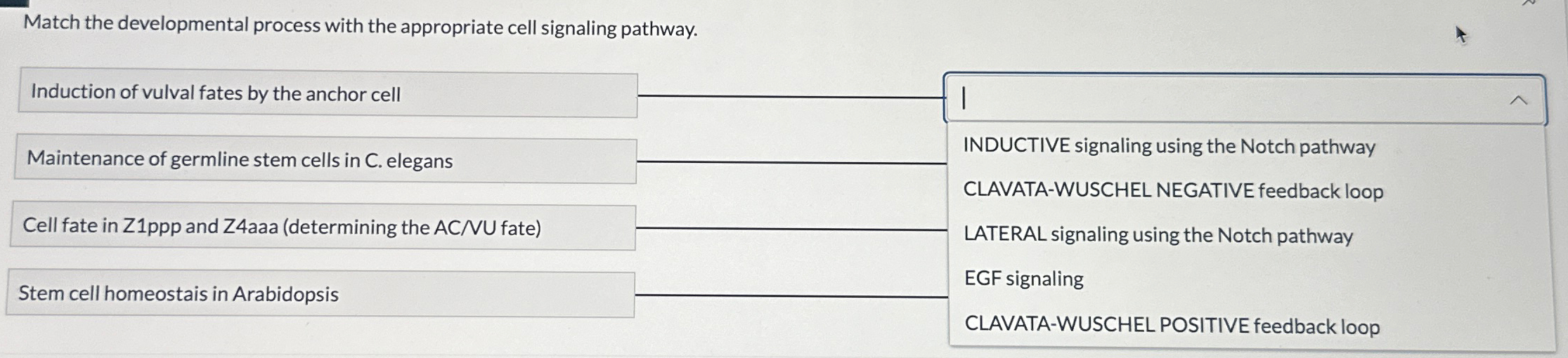 Solved Match the developmental process with the appropriate | Chegg.com