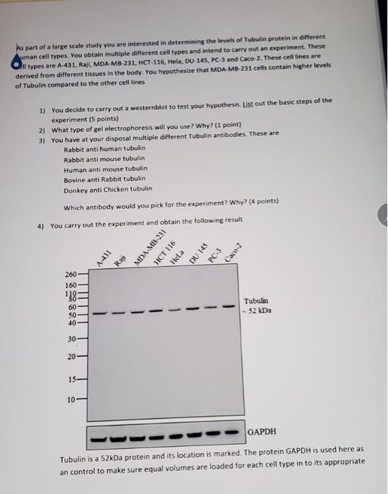 Solved as part of a large scale study you are interested in | Chegg.com
