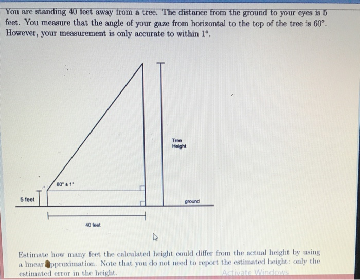 Solved You are standing 40 feet away from a tree. The | Chegg.com