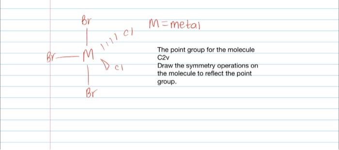Solved M= metal The point group for the molecule C2v Draw | Chegg.com