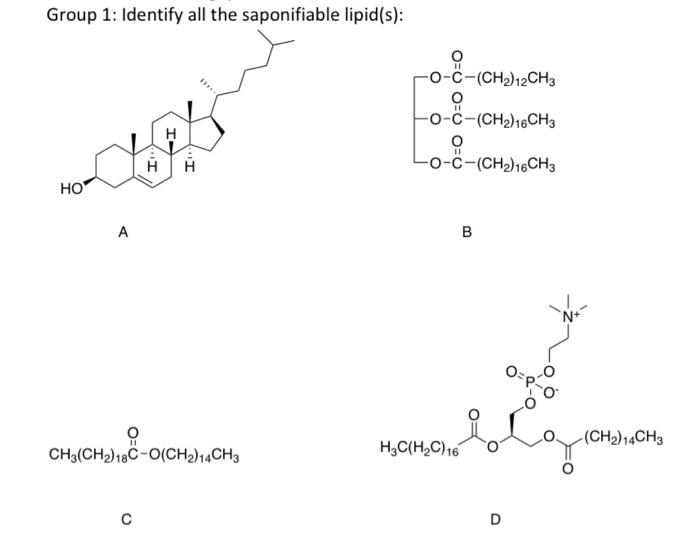 Solved Group 1: Identify all the saponifiable lipid(s): | Chegg.com