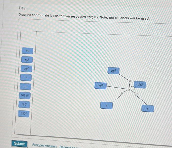 Solved BF3 Drag the appropriate labels to their respective | Chegg.com