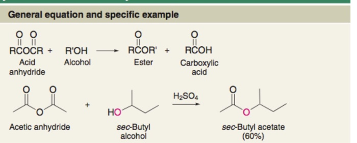 Solved General equation and specific example ОО RCOCR + R'OH | Chegg.com