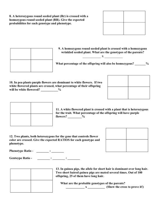 Solved 5 Set Up The Punnett Square For Each Of The Crosses