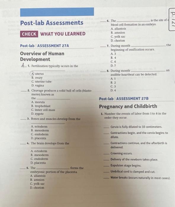 Solved p. 127 Post-lab Assessments CHECK WHAT YOU LEARNED | Chegg.com