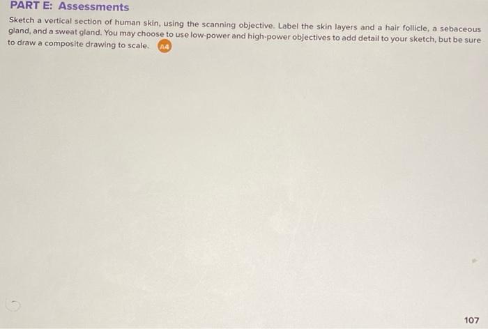 Solved PARTE: Assessments Sketch a vertical section of human | Chegg.com