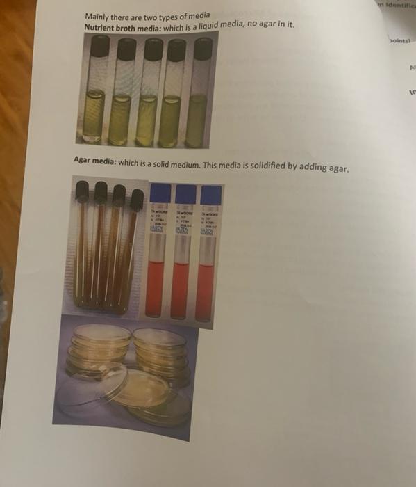 Aseptic Technique Report Observe your samples from | Chegg.com