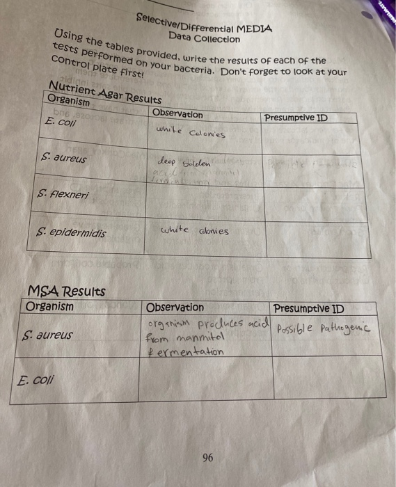 Solved Selective/Differential MEDIA Data Collection Using | Chegg.com