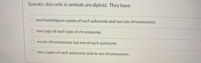 Solved Somatic skin cells in animals are diploid. They have: | Chegg.com