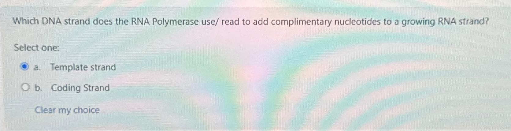 Solved Which DNA strand does the RNA Polymerase use/ ﻿read | Chegg.com