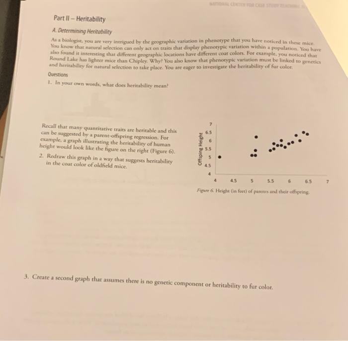 Solved Part II -- Heritability A. Determining Heritability | Chegg.com
