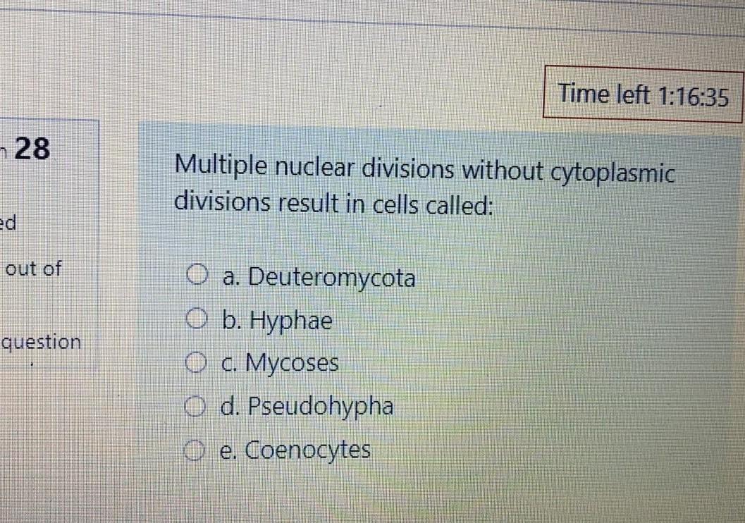 Solved Time left 1:16:35 28 Multiple nuclear divisions | Chegg.com